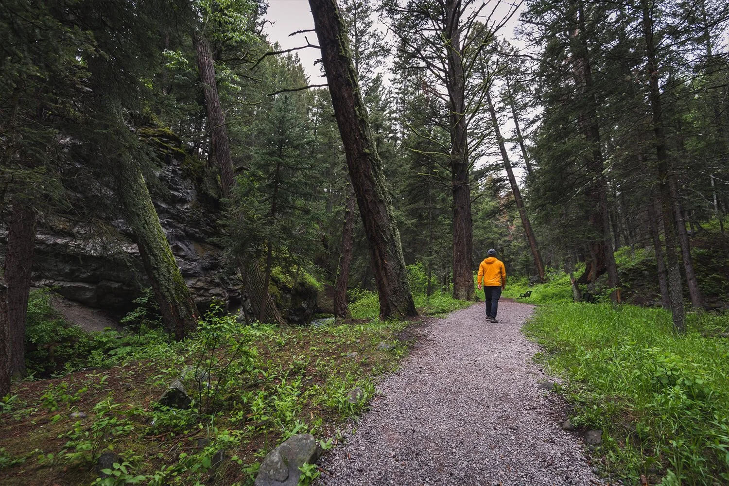 How to Hike to RAINBOW FALLS in the CROWSNEST PASS — Seeing the ...