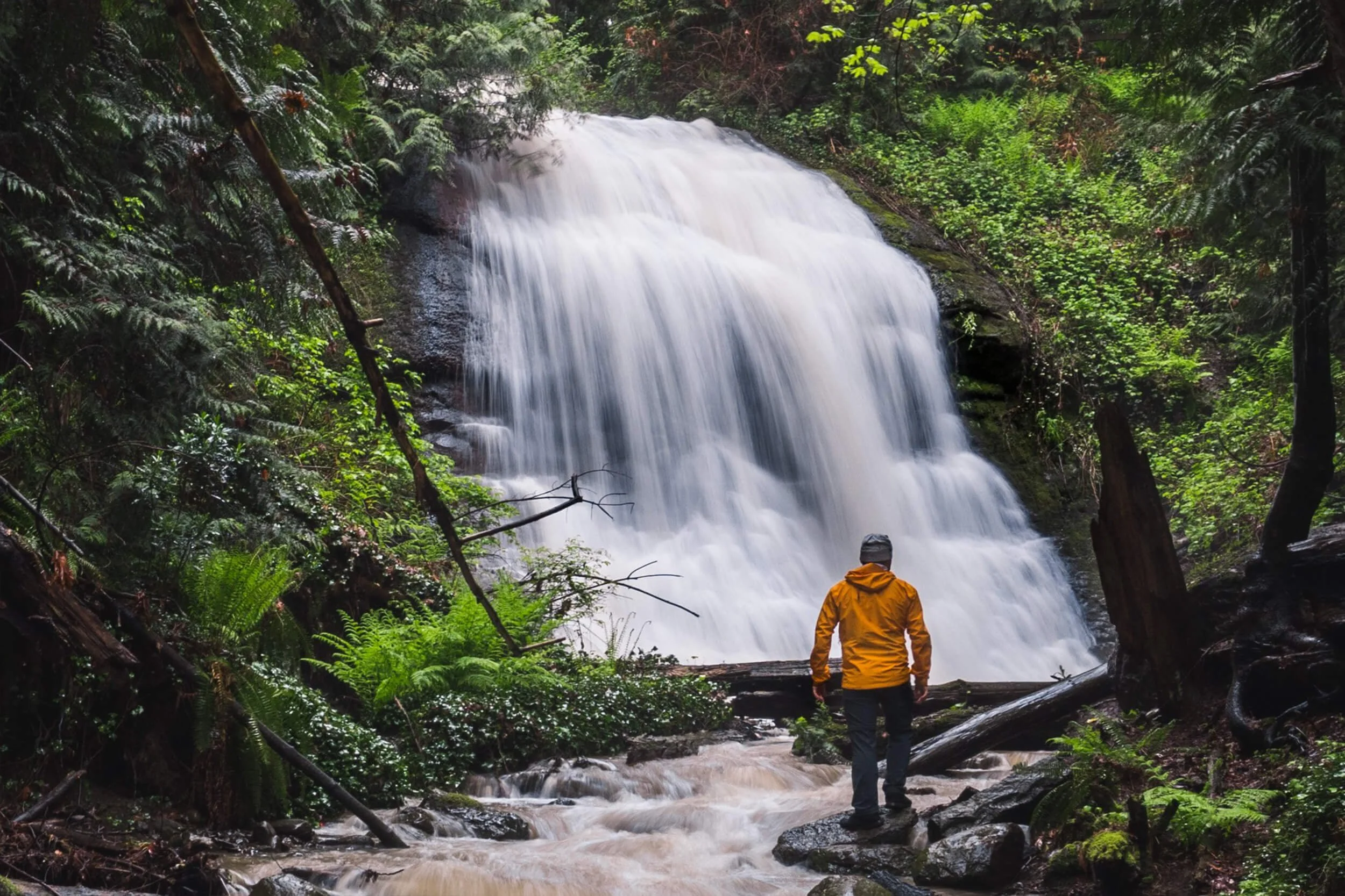 How to Visit NORTHFIELD FALLS in NANAIMO — Seeing the Elephant | Canada ...
