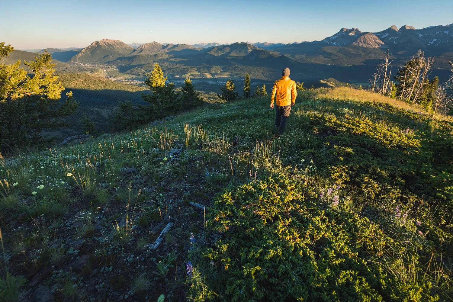 How to Hike WEDGE MOUNTAIN in the CROWSNEST PASS — Seeing the Elephant ...