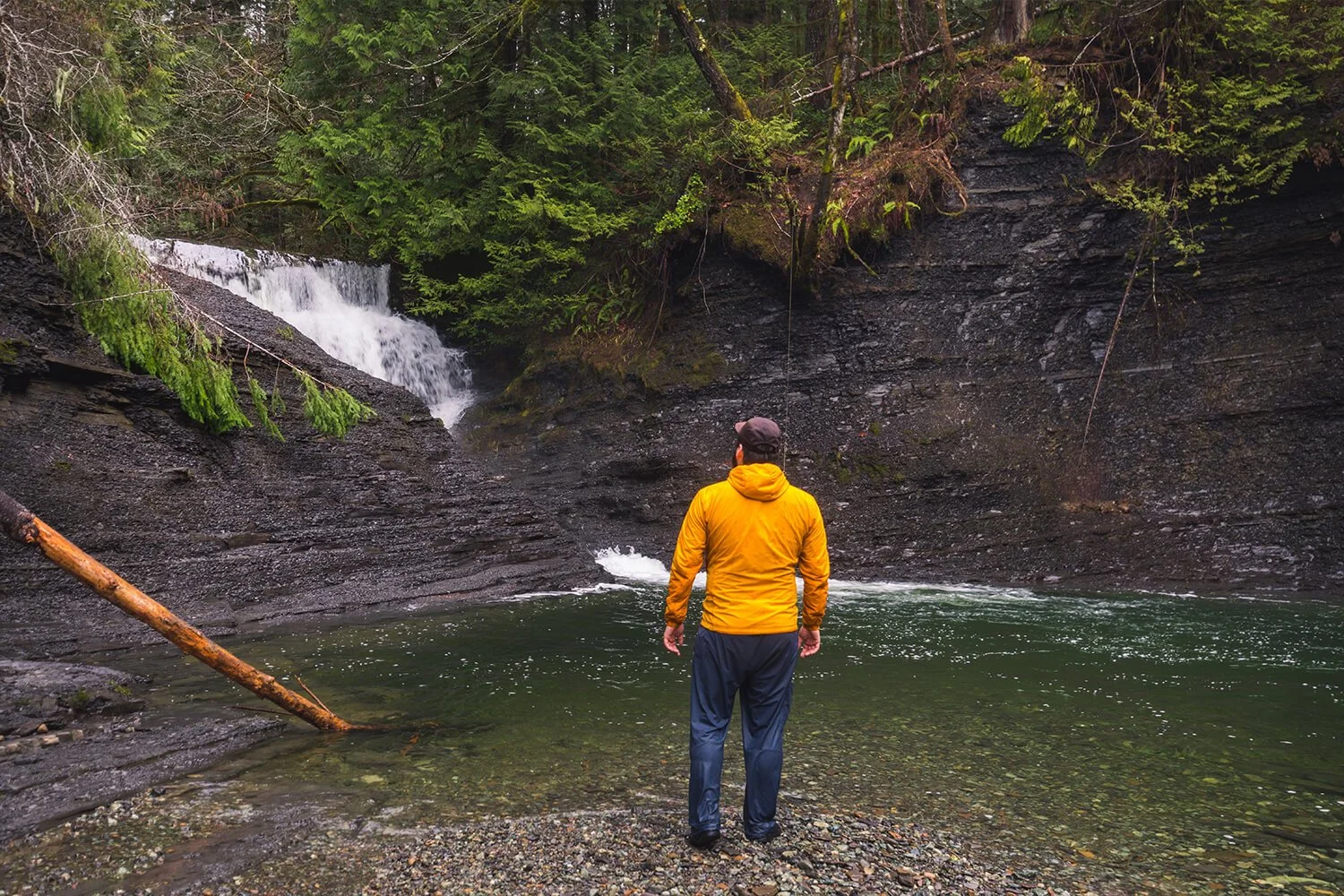 How to Hike to ROGERS CREEK FALLS in PORT ALBERNI — Seeing the Elephant ...