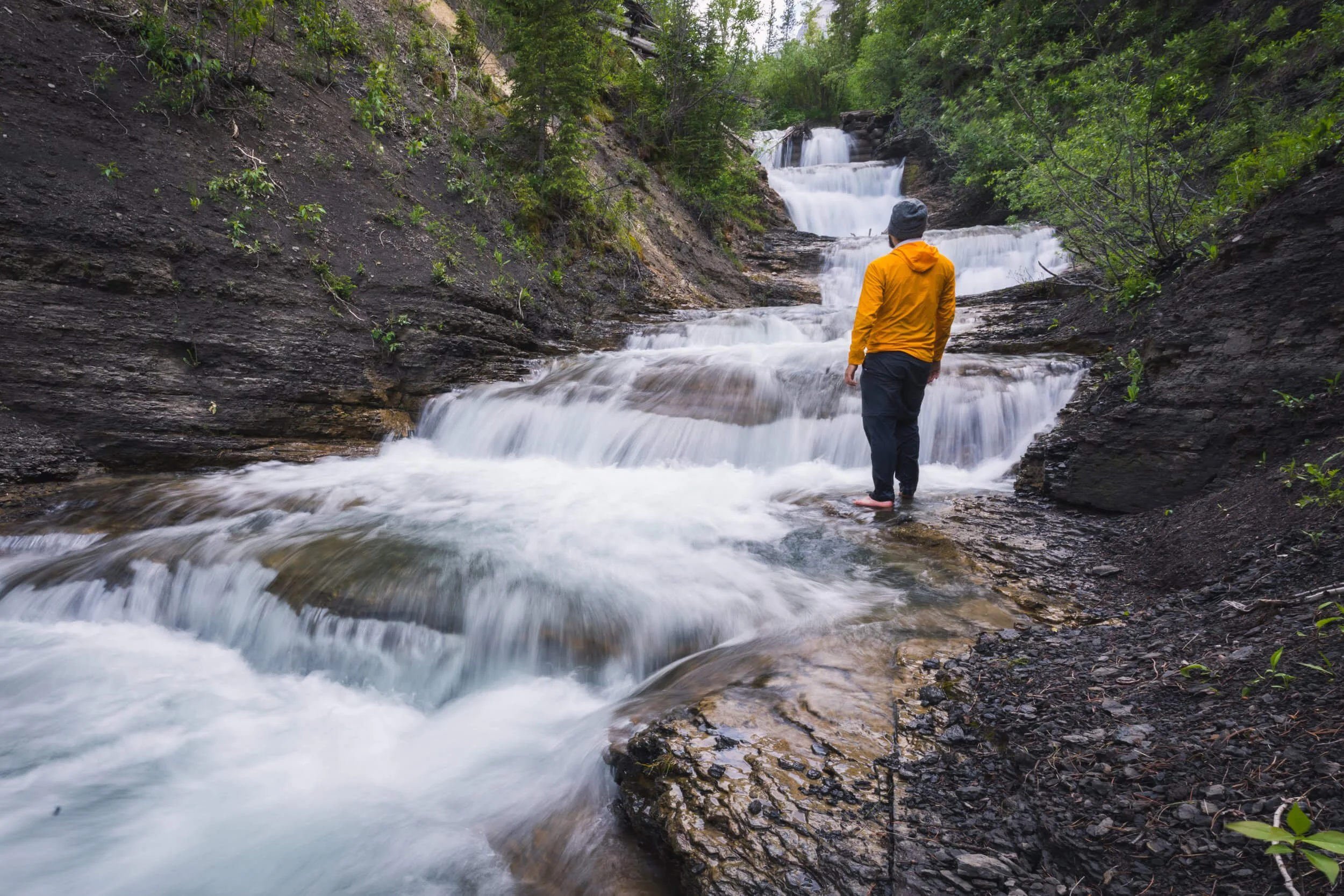 How to Hike to ALLISON CREEK FALLS in the CROWSNEST PASS — Seeing the ...