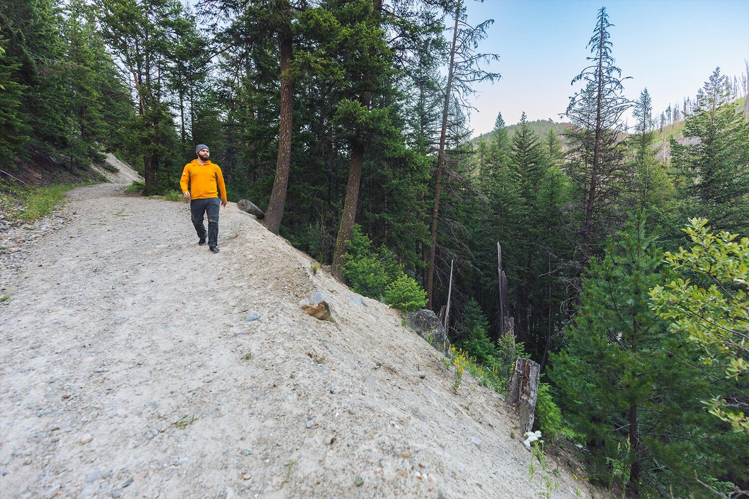 How to Hike to MOYIE FALLS Near CRANBROOK — Seeing the Elephant ...