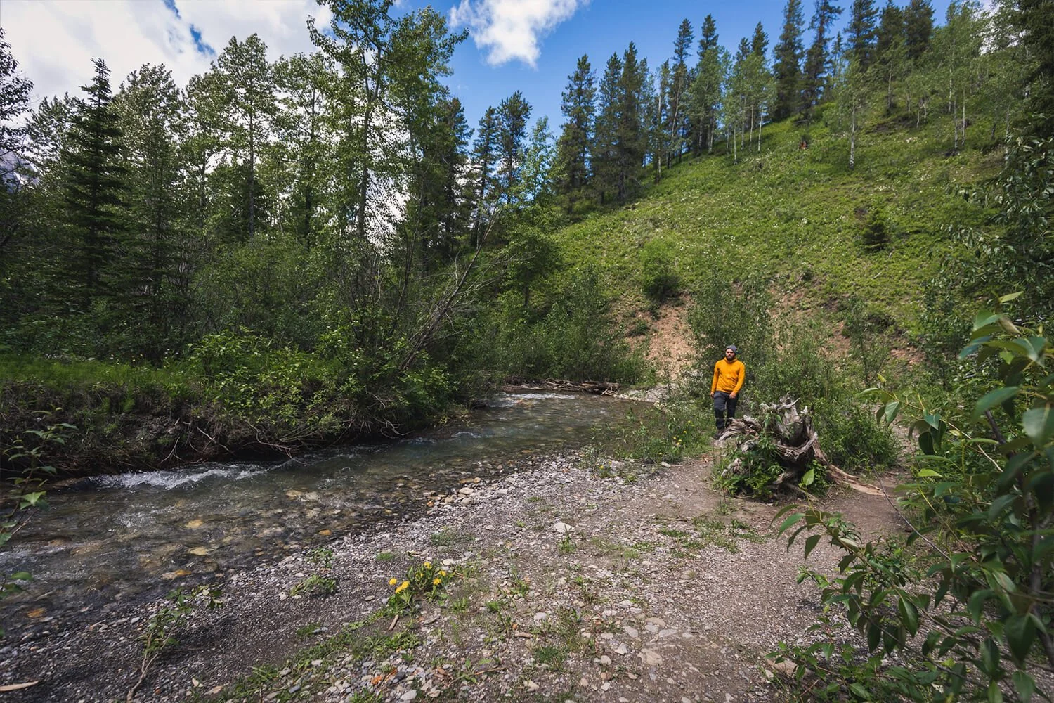 How to Hike to ALLISON CREEK FALLS in the CROWSNEST PASS — Seeing the ...