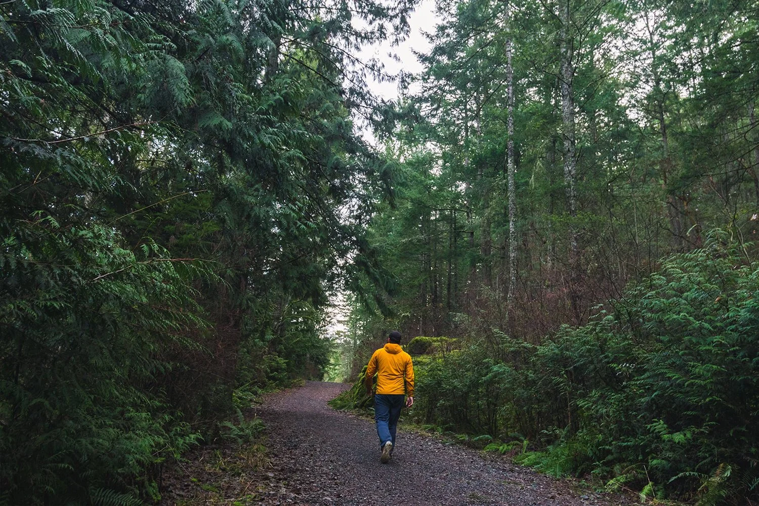 How to Hike STEWART MOUNTAIN Near VICTORIA — Seeing the Elephant ...