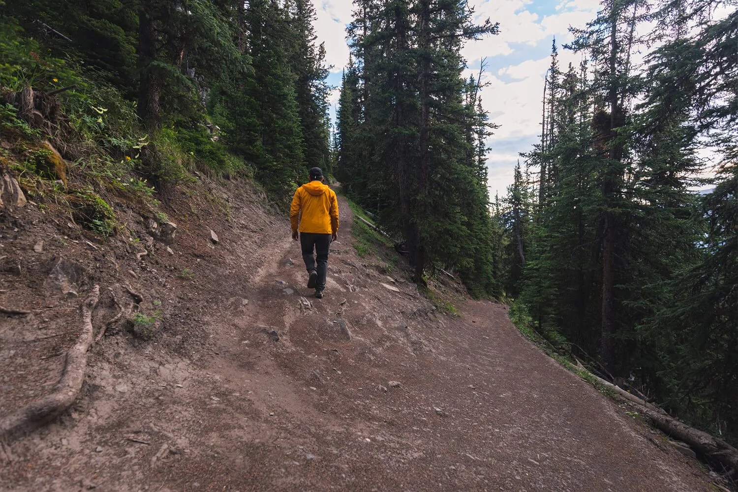 SULPHUR MOUNTAIN: How to Hike SANSON PEAK in BANFF NATIONAL PARK ...