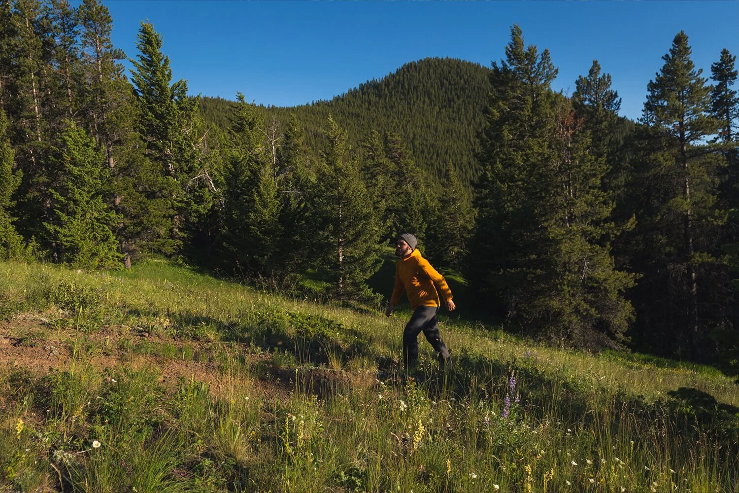 How to Hike WEDGE MOUNTAIN in the CROWSNEST PASS — Seeing the Elephant ...
