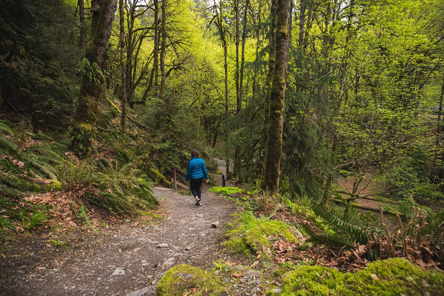 How to Hike to NIAGARA FALLS in GOLDSTREAM PROVINCIAL PARK — Seeing the ...