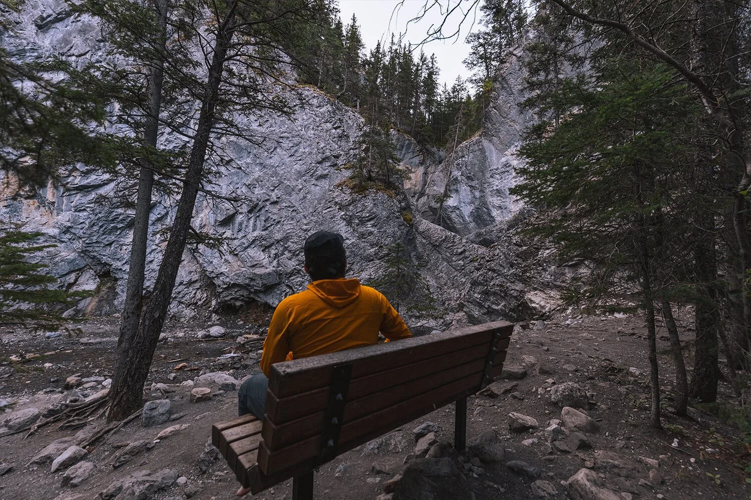 How to Hike HEART CREEK CANYON in KANANASKIS COUNTRY — Seeing the ...