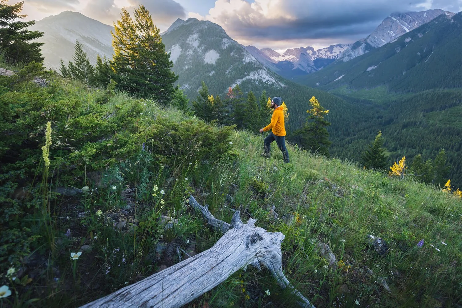 How to Hike ISLAND RIDGE in the CROWSNEST PASS — Seeing the Elephant ...
