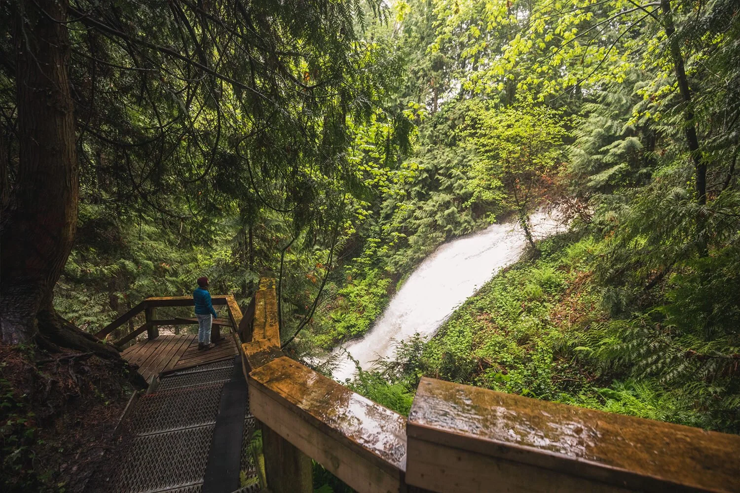 How to Visit NORTHFIELD FALLS in NANAIMO — Seeing the Elephant | Canada ...