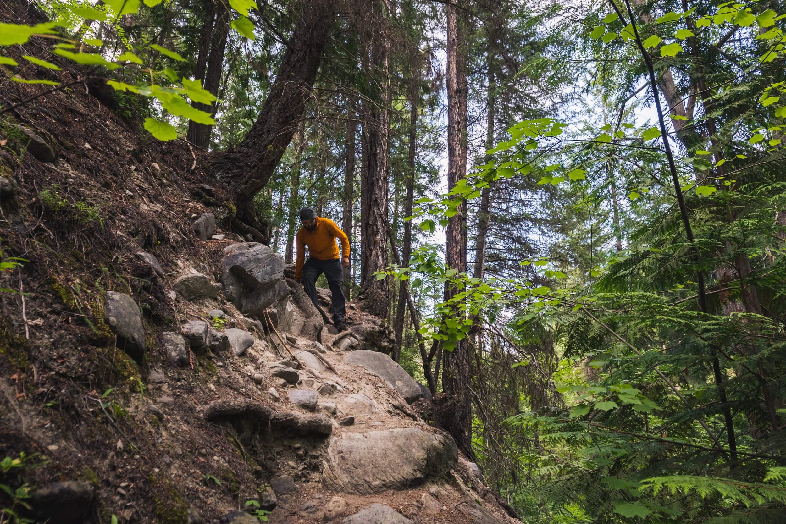 How to Hike to PERRY CREEK FALLS Near CRANBROOK — Seeing the Elephant ...