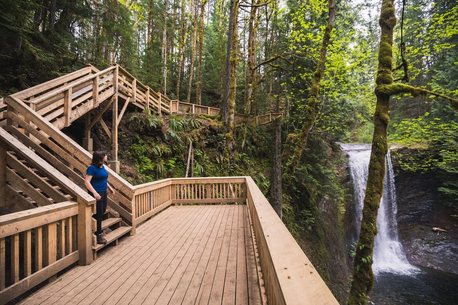 How to Hike to AMMONITE FALLS Near NANAIMO — Seeing the Elephant ...