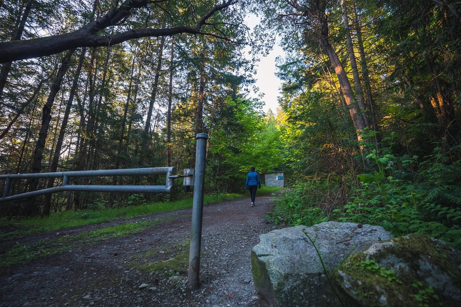 How to Hike NOTCH HILL in NANOOSE BAY — Seeing the Elephant | Canada ...
