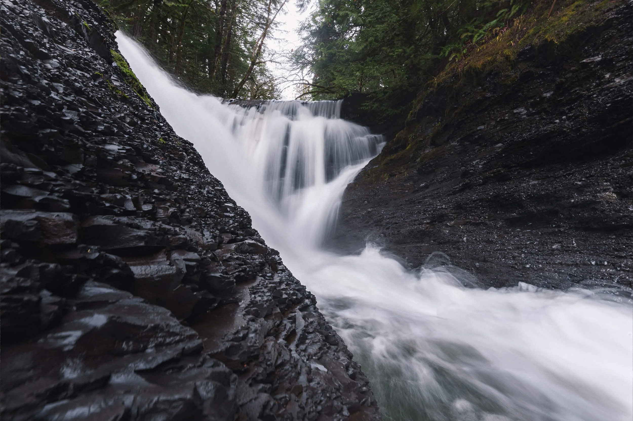 How to Hike to ROGERS CREEK FALLS in PORT ALBERNI — Seeing the Elephant ...