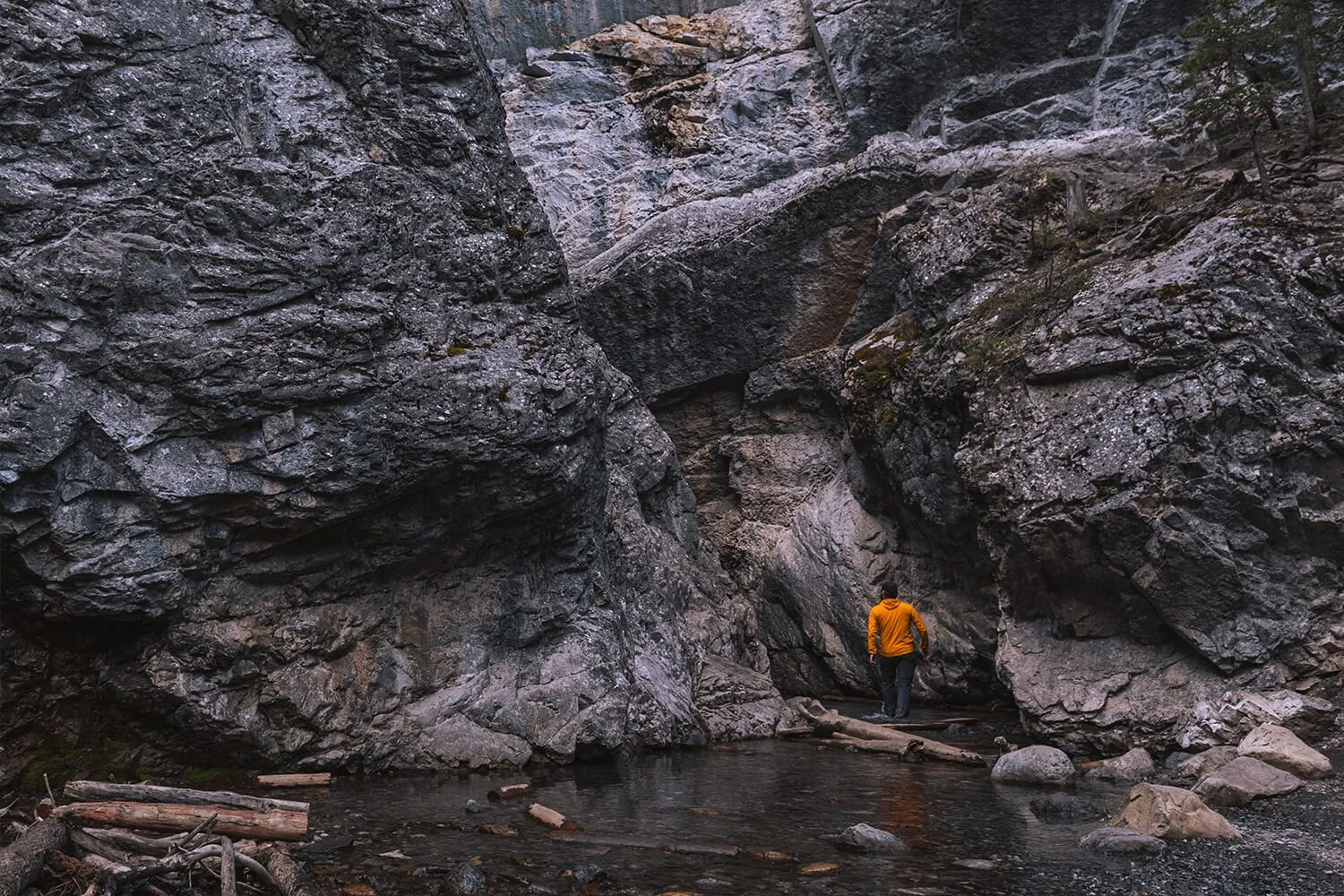 How to Hike HEART CREEK CANYON in KANANASKIS COUNTRY — Seeing the ...