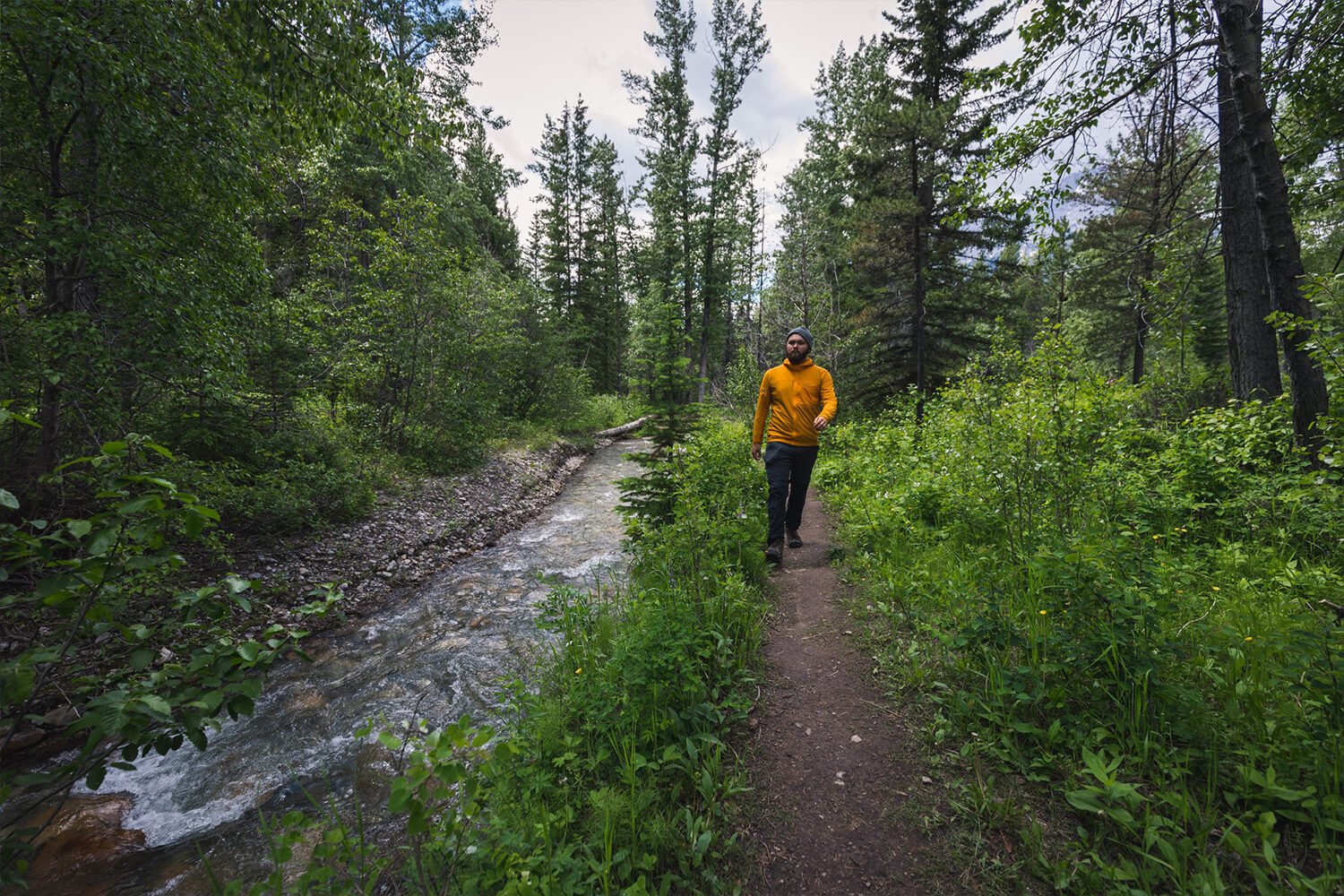 How to Hike to ALLISON CREEK FALLS in the CROWSNEST PASS — Seeing the ...
