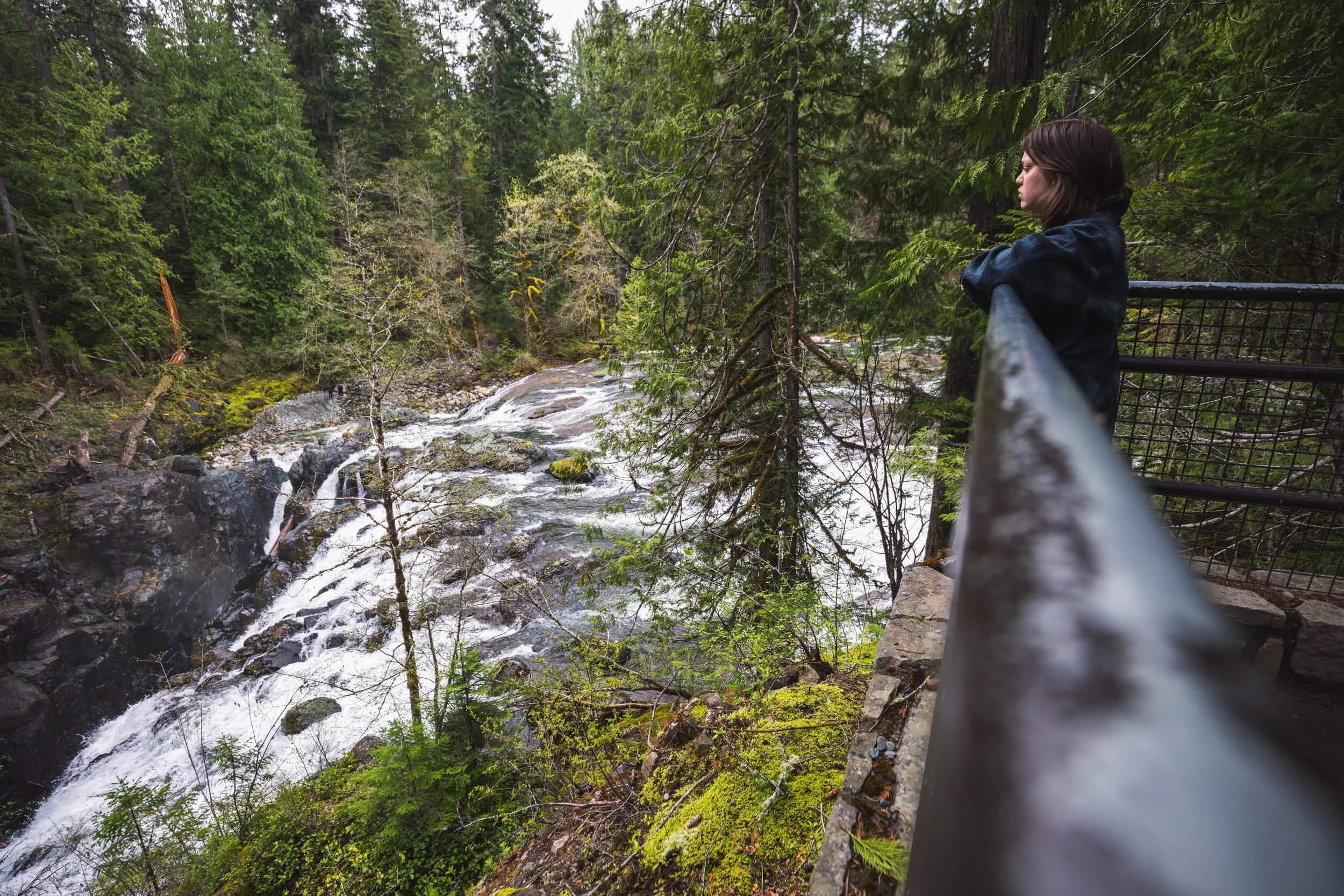 How to Hike to ENGLISHMAN RIVER FALLS on VANCOUVER ISLAND — Seeing the ...