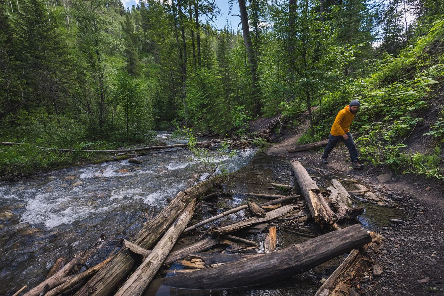 How to Hike to ALLISON CREEK FALLS in the CROWSNEST PASS — Seeing the ...
