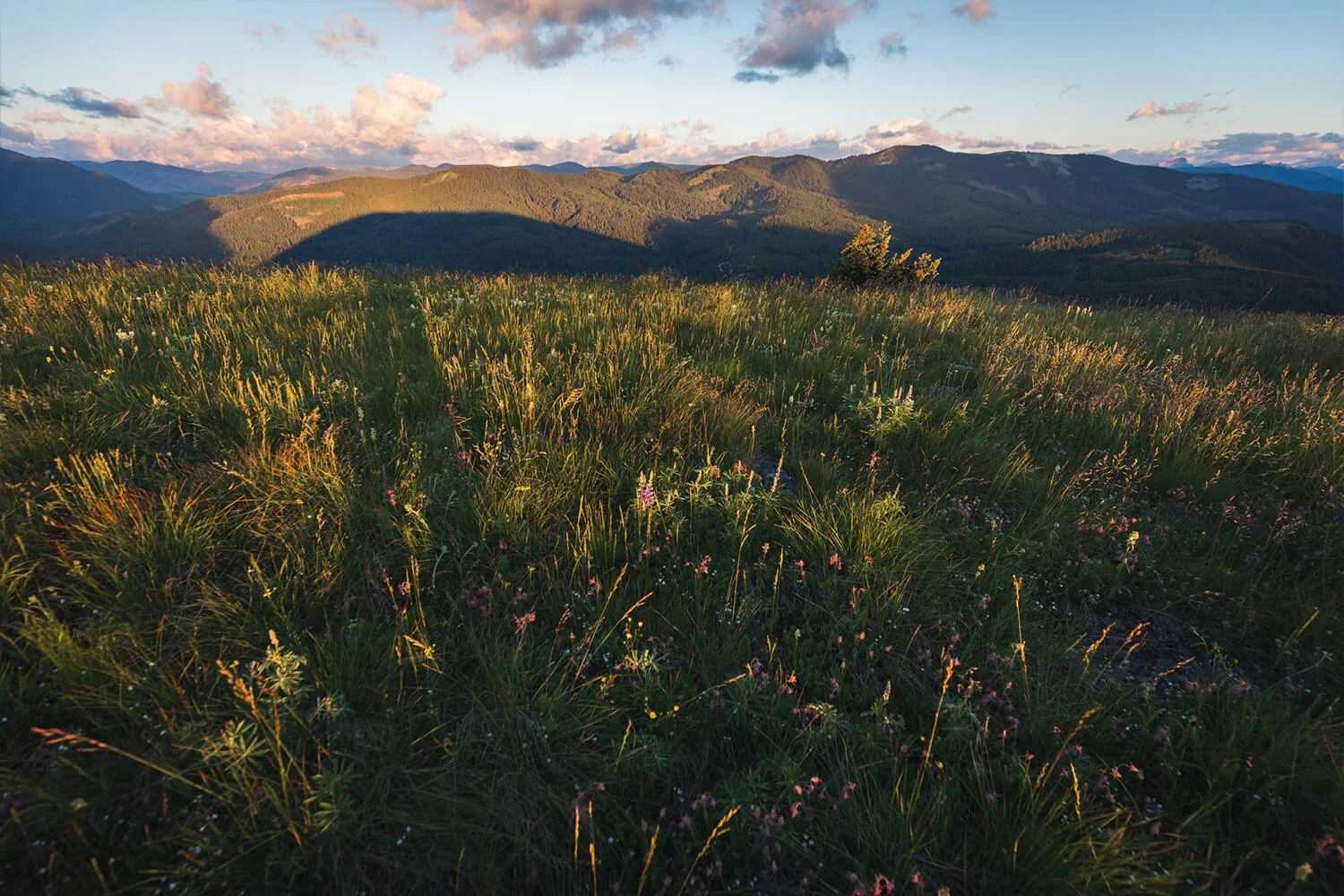 How to Hike ISLAND RIDGE in the CROWSNEST PASS — Seeing the Elephant ...