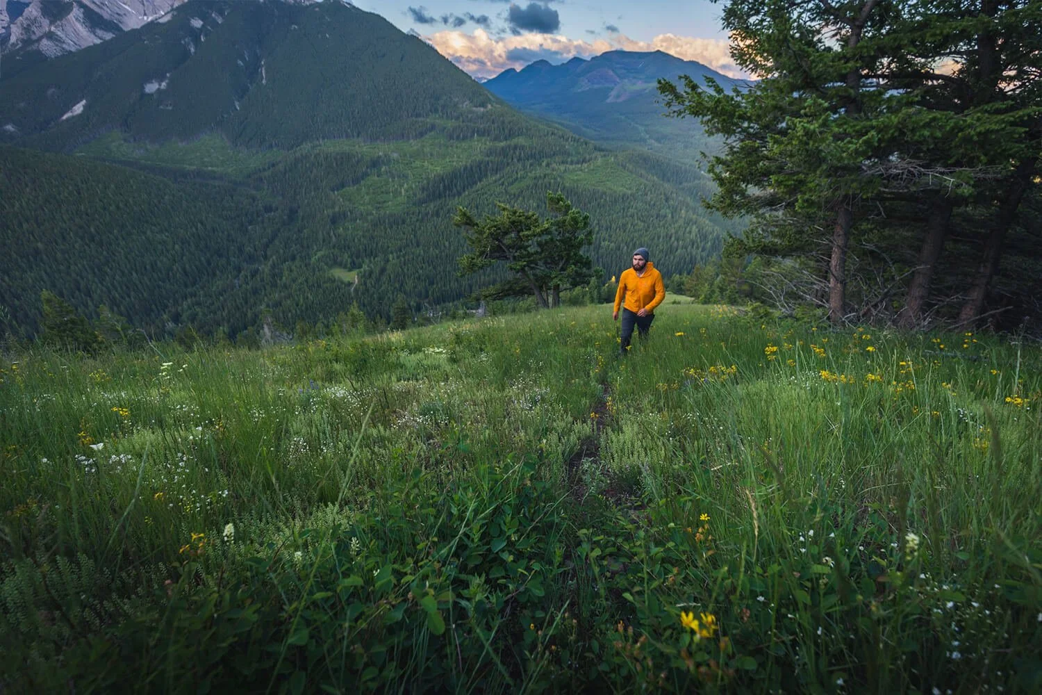 How to Hike ISLAND RIDGE in the CROWSNEST PASS — Seeing the Elephant ...
