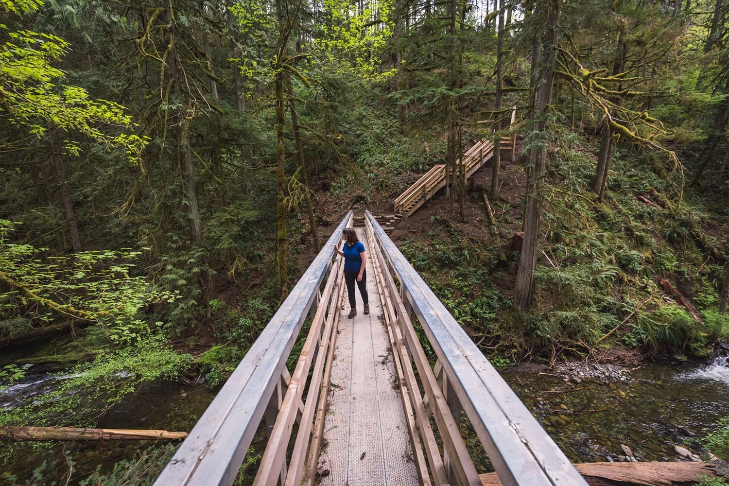 How to Hike to AMMONITE FALLS Near NANAIMO — Seeing the Elephant ...