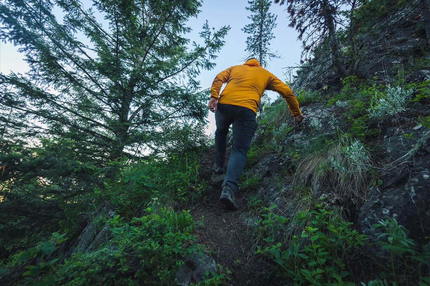 How to Hike WEDGE MOUNTAIN in the CROWSNEST PASS — Seeing the Elephant ...