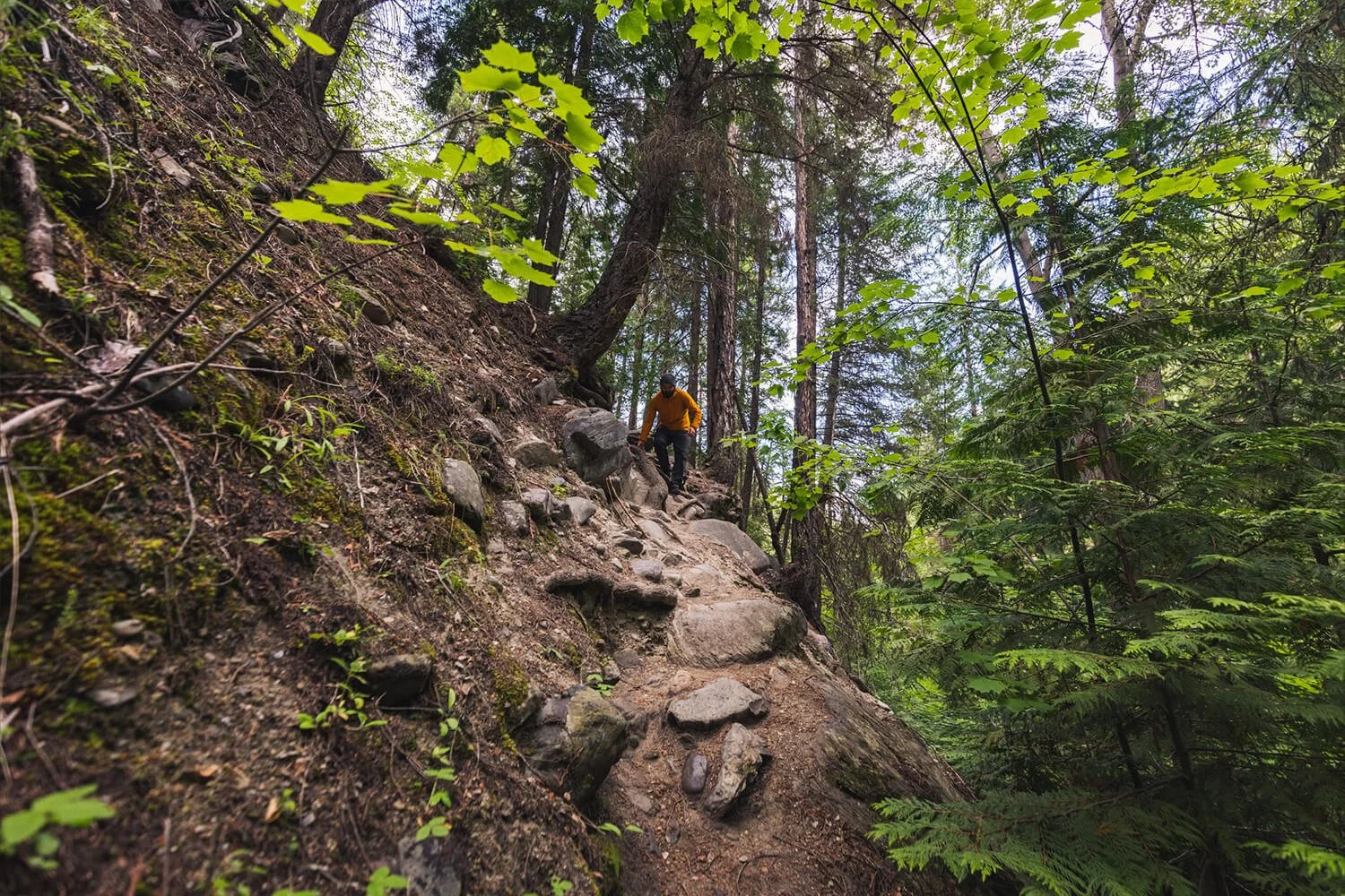 How to Hike to PERRY CREEK FALLS Near CRANBROOK — Seeing the Elephant ...