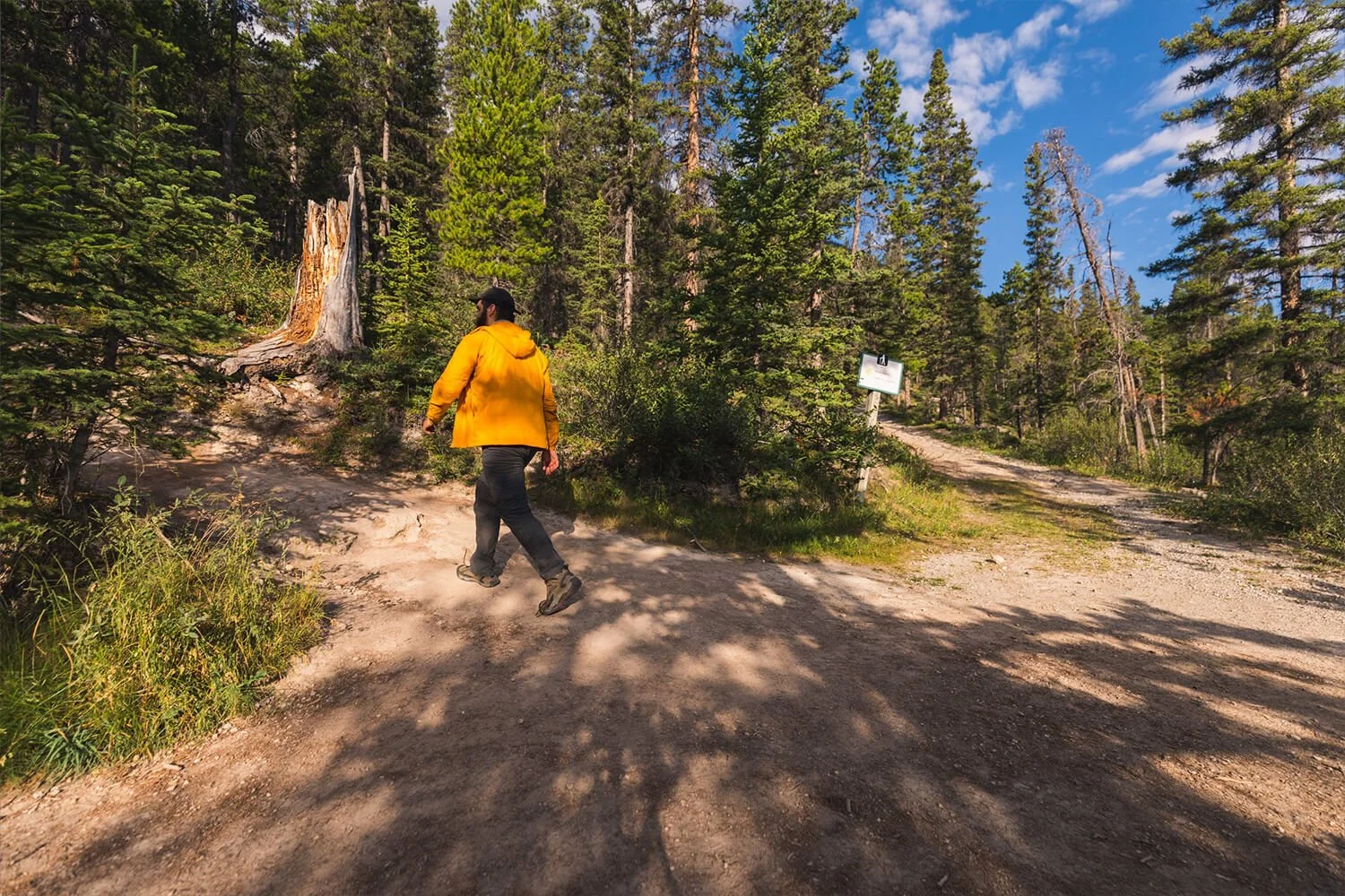 SULPHUR MOUNTAIN: How to Hike SANSON PEAK in BANFF NATIONAL PARK ...