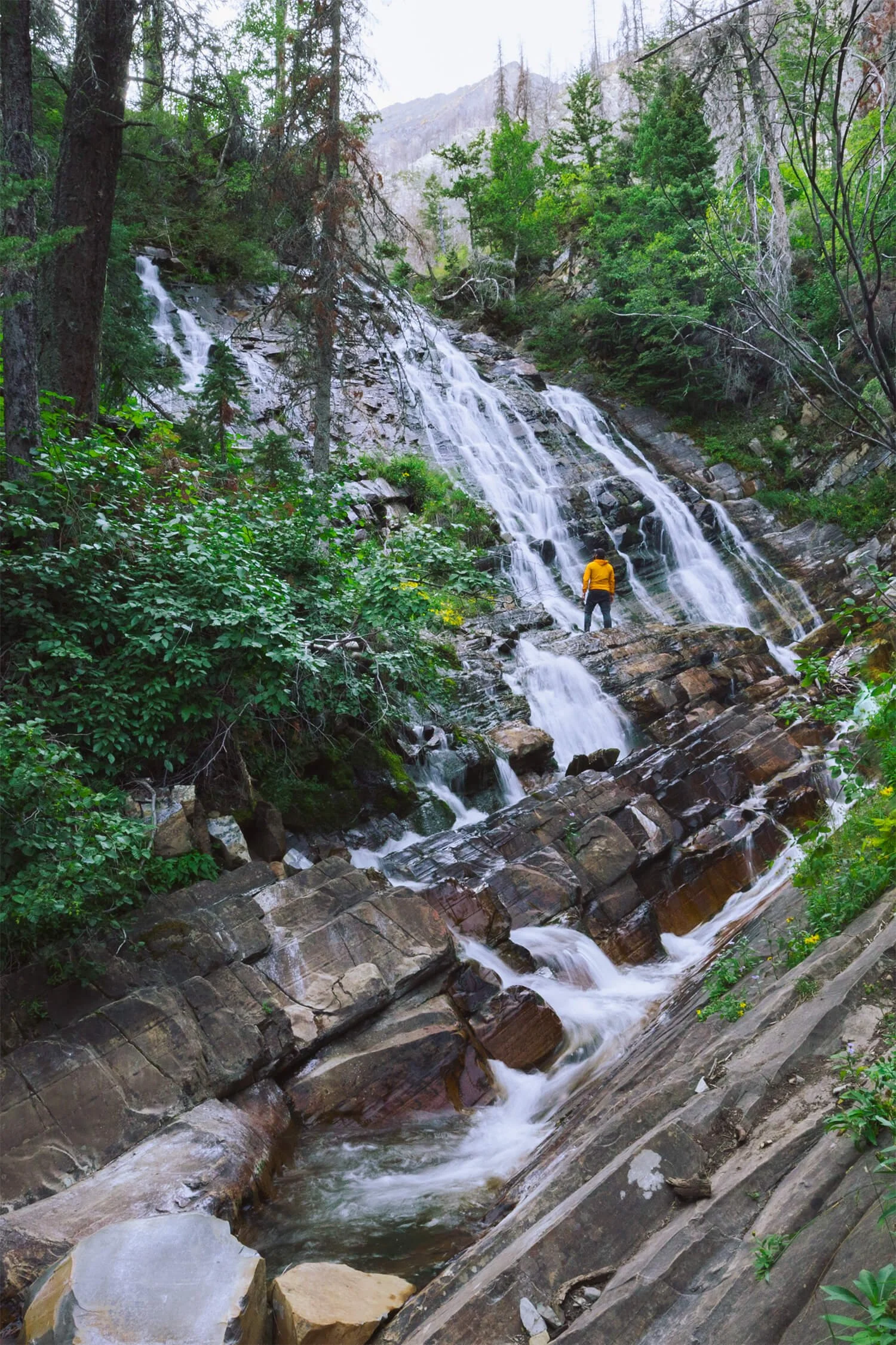 How to Hike to LOWER BERTHA FALLS in WATERTON LAKES NATIONAL PARK ...