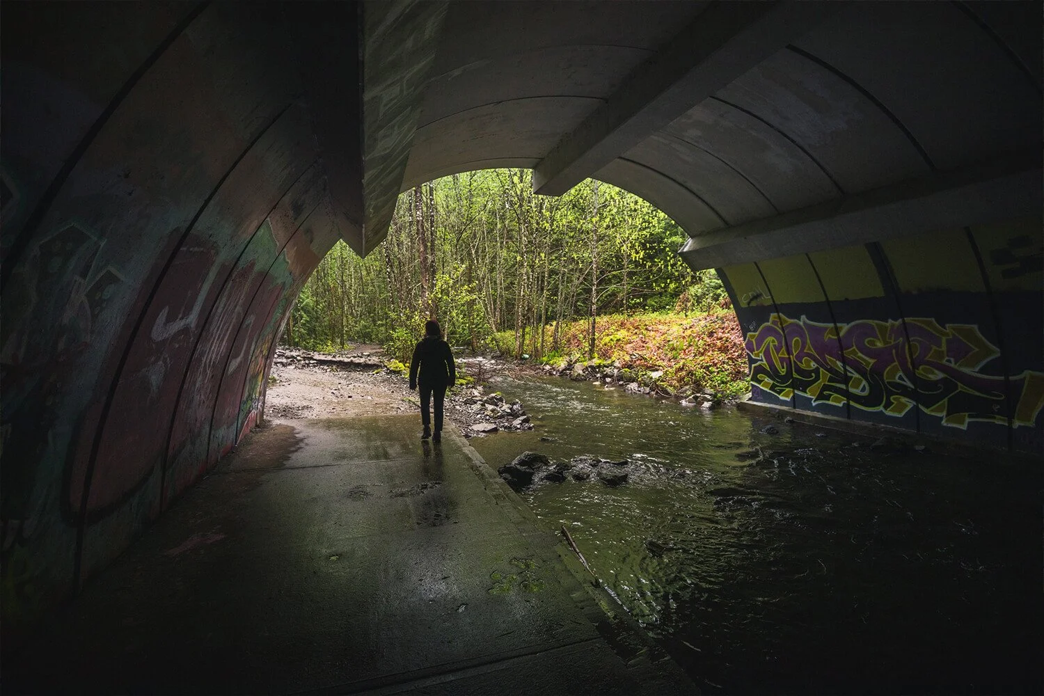 How to Visit GRANNY FALLS in NANAIMO — Seeing the Elephant | Canada ...