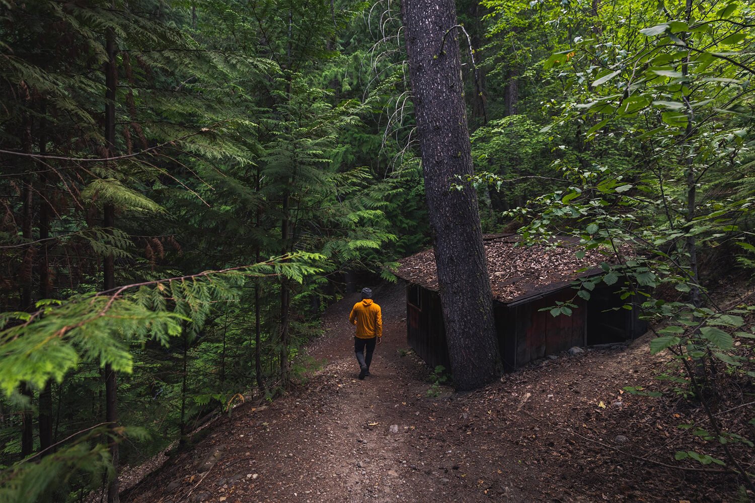 How to Hike to PERRY CREEK FALLS Near CRANBROOK — Seeing the Elephant ...