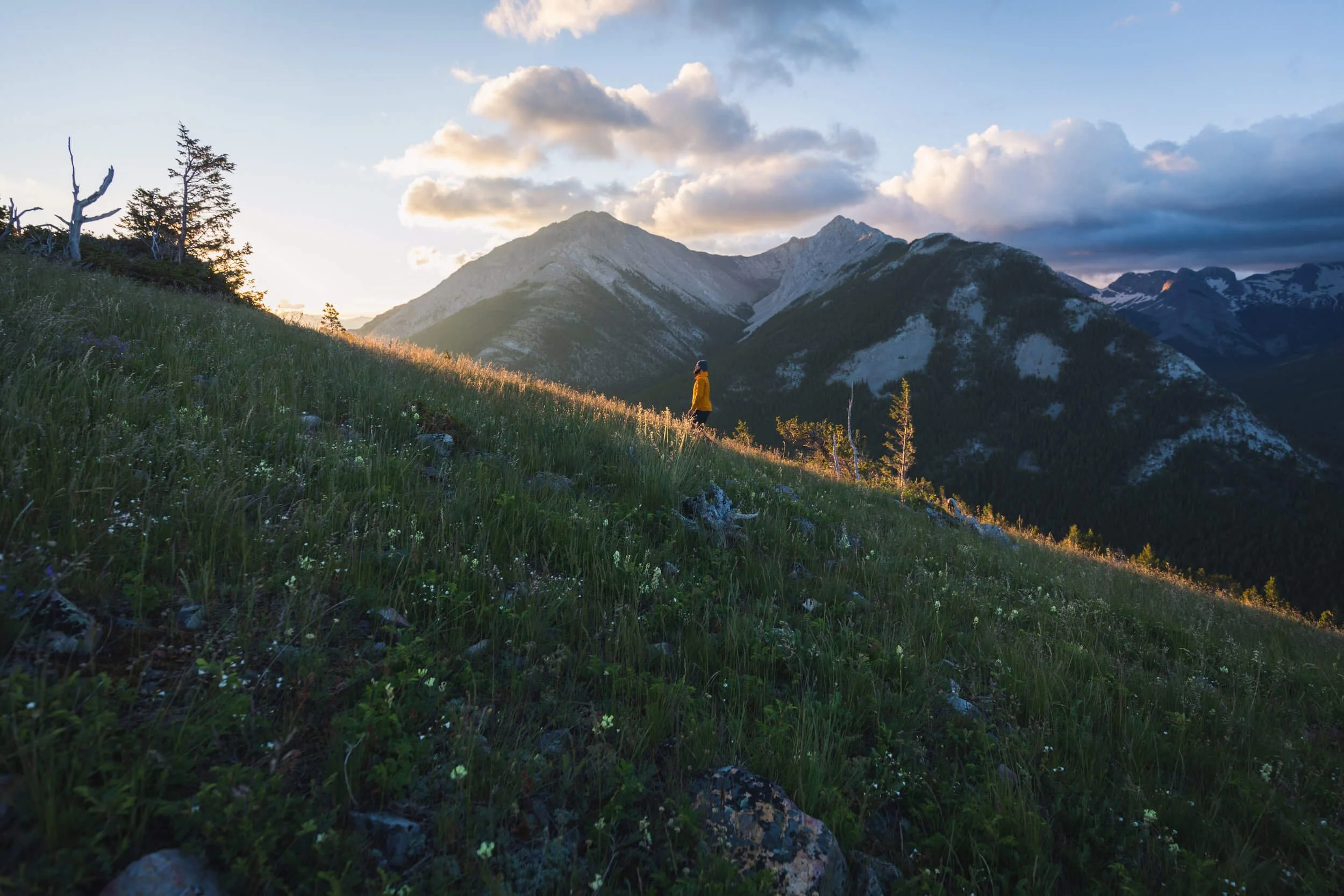 How to Hike ISLAND RIDGE in the CROWSNEST PASS — Seeing the Elephant ...
