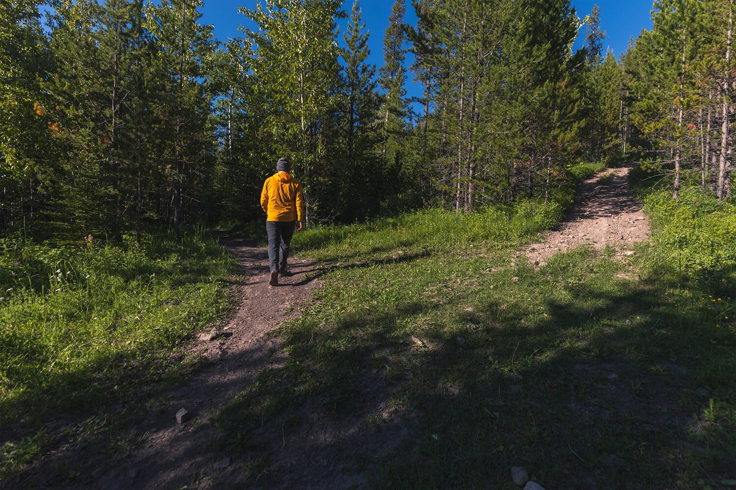 How to Hike WEDGE MOUNTAIN in the CROWSNEST PASS — Seeing the Elephant ...