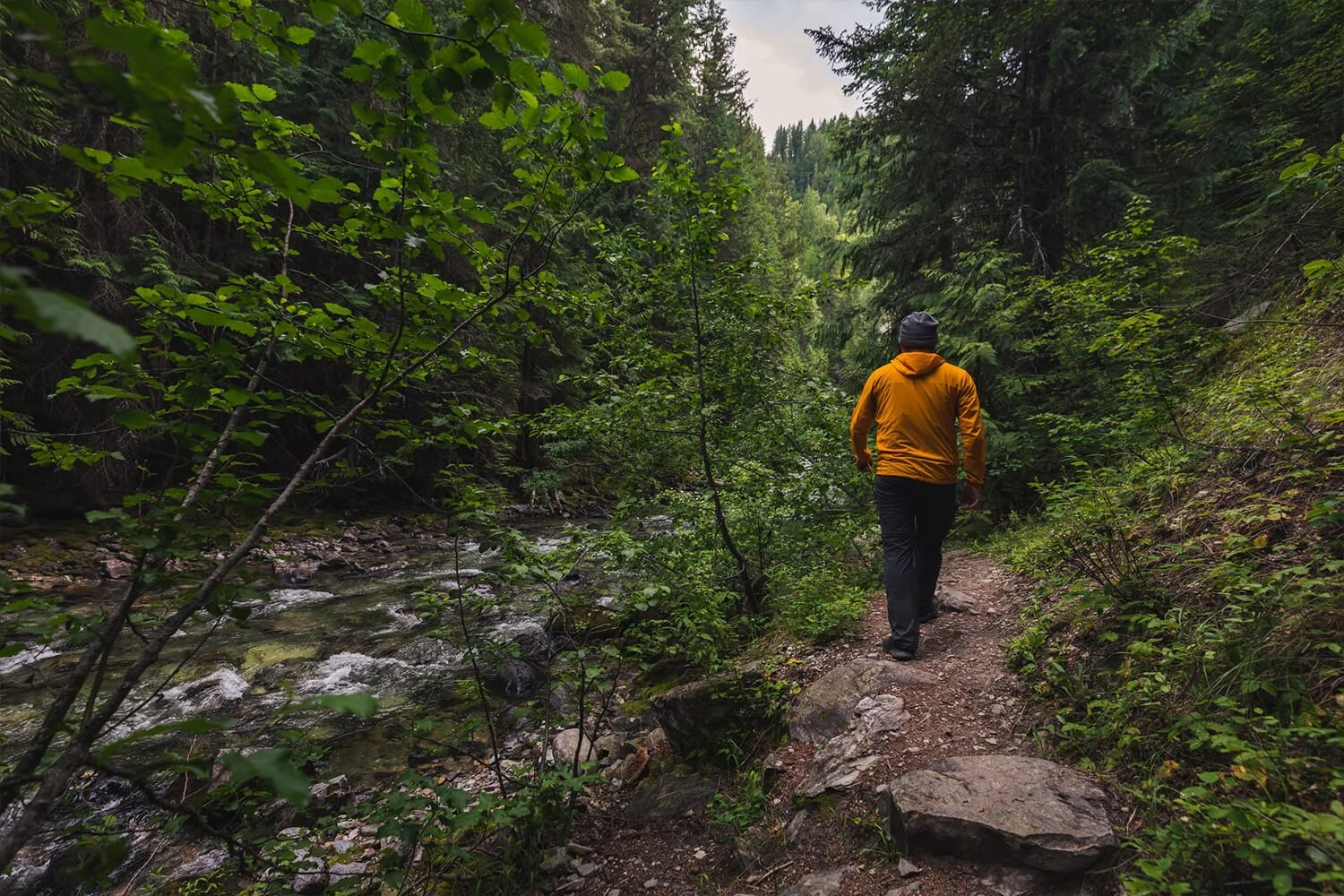 How to Hike to PERRY CREEK FALLS Near CRANBROOK — Seeing the Elephant ...