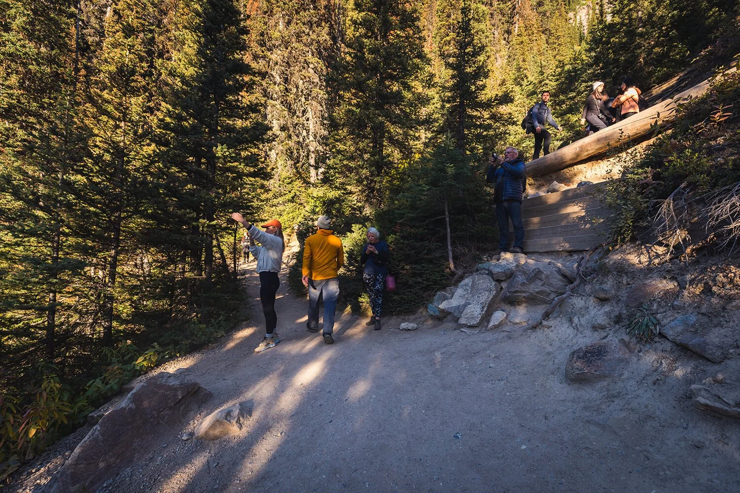 How to Hike LITTLE BEEHIVE in BANFF NATIONAL PARK — Seeing the Elephant ...