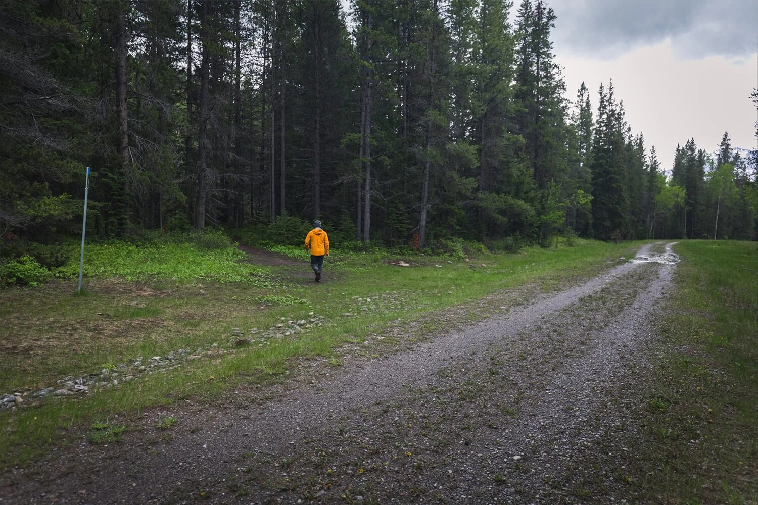 How to Hike to ALLISON CREEK FALLS in the CROWSNEST PASS — Seeing the ...