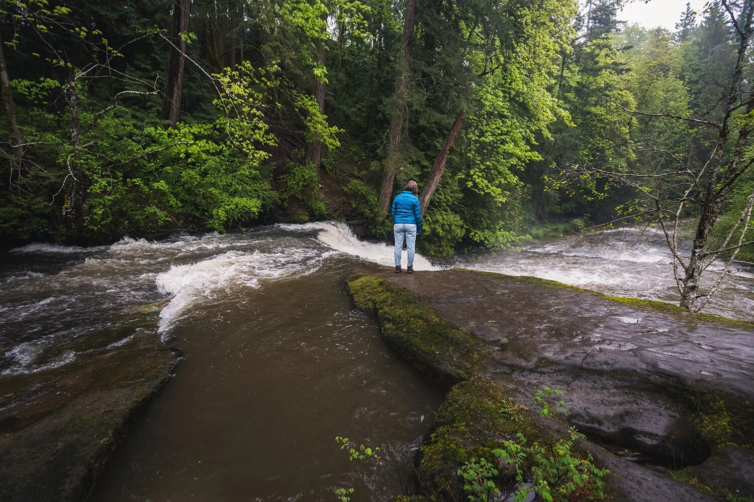 How to Hike to MILLSTONE RIVER FALLS in NANAIMO — Seeing the Elephant ...