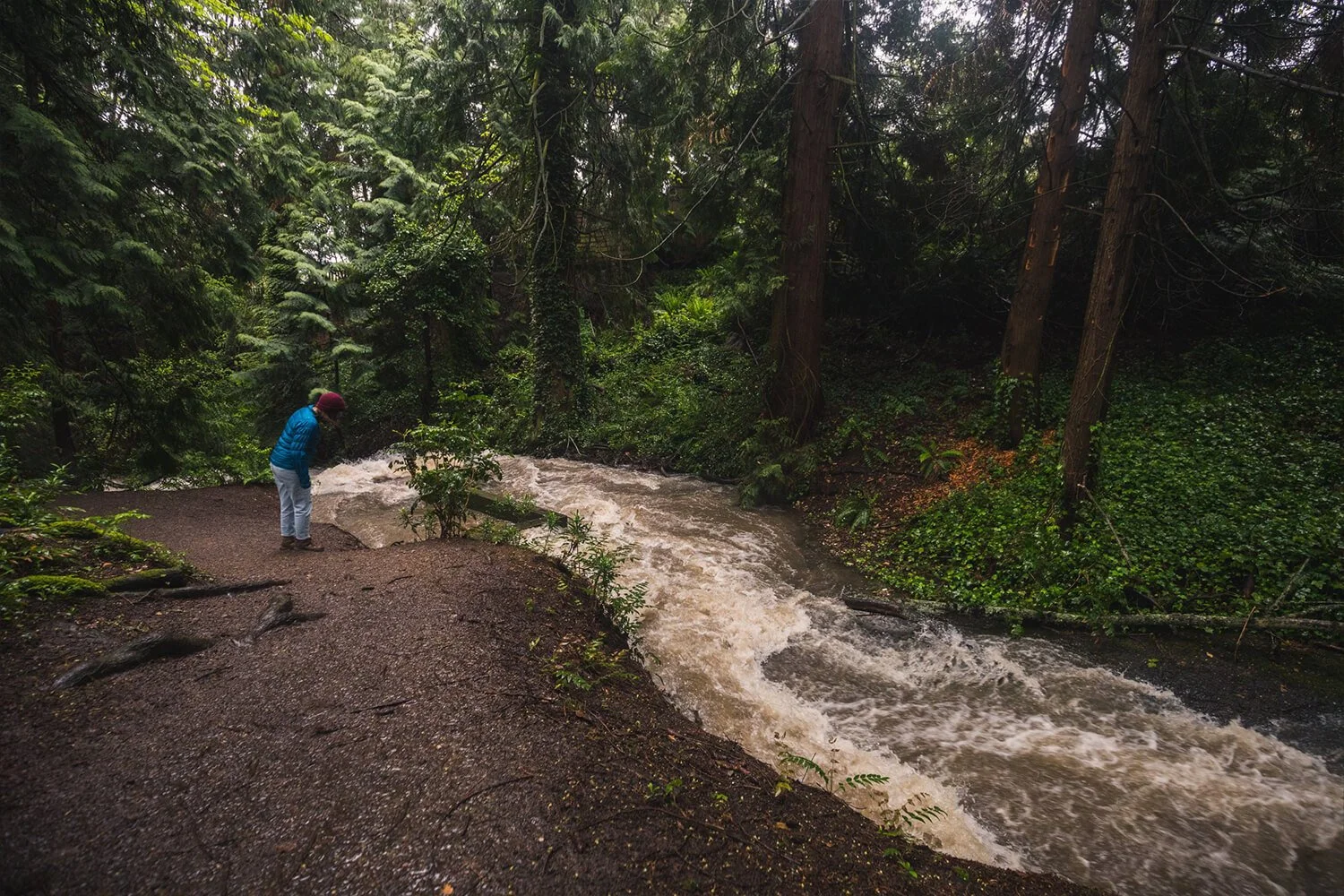 How to Visit NORTHFIELD FALLS in NANAIMO — Seeing the Elephant | Canada ...