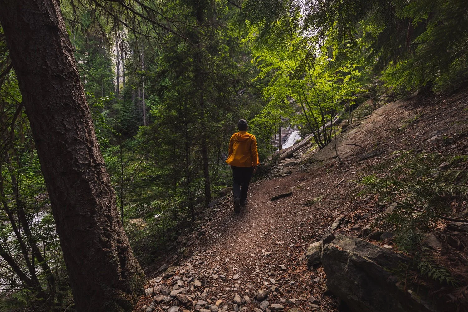 How to Hike to PERRY CREEK FALLS Near CRANBROOK — Seeing the Elephant ...