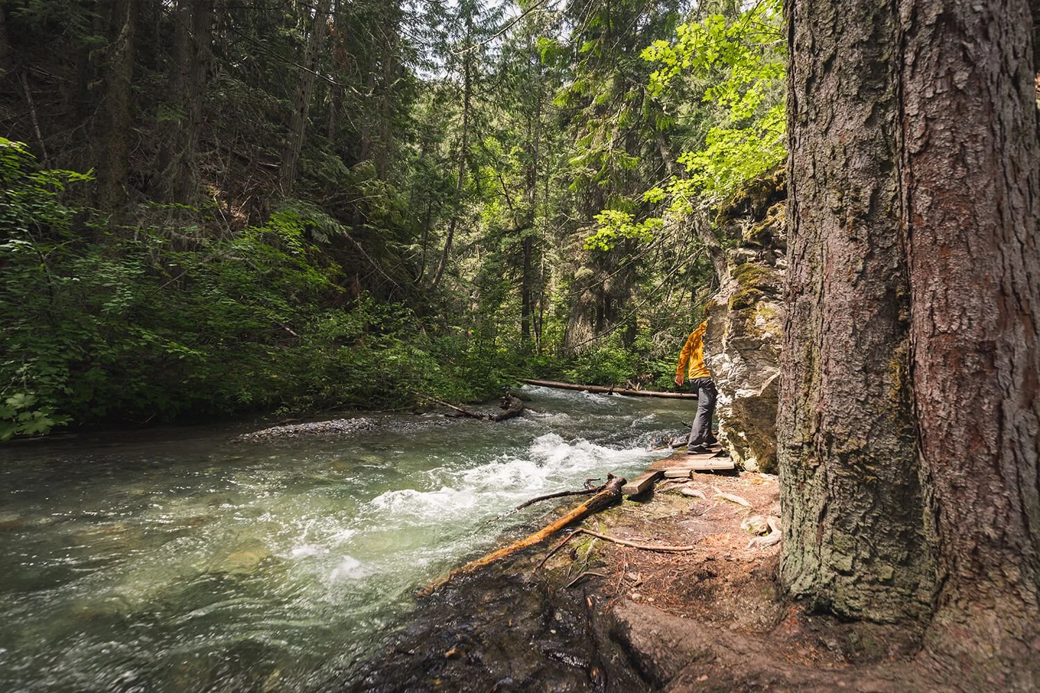 How to Visit BRISCO FALLS in the COLUMBIA VALLEY — Seeing the Elephant ...