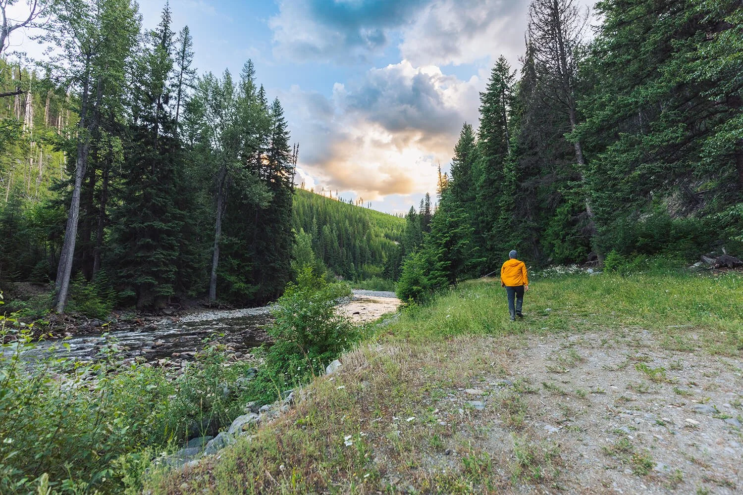 How to Hike to MOYIE FALLS Near CRANBROOK — Seeing the Elephant ...