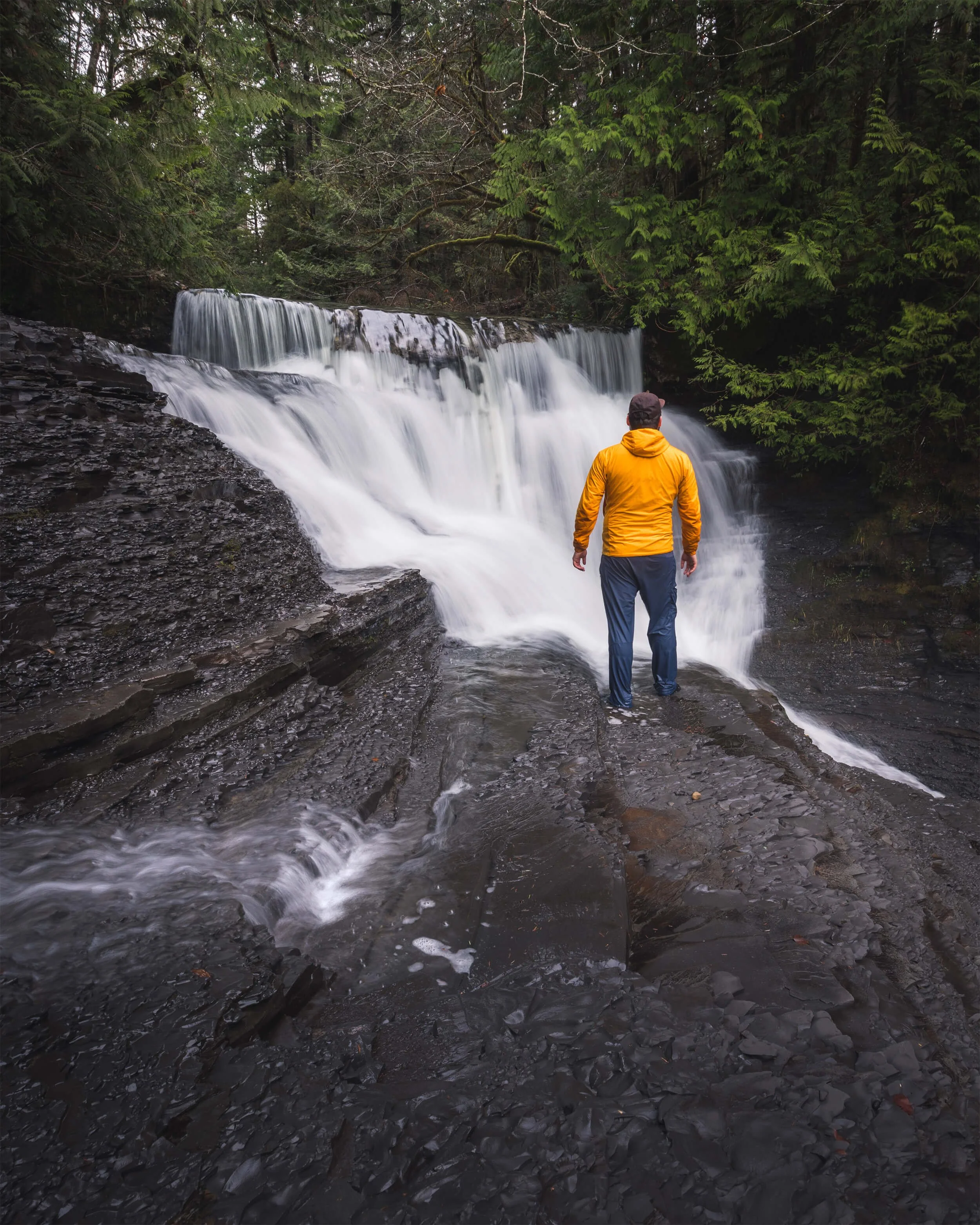 How to Hike to ROGERS CREEK FALLS in PORT ALBERNI — Seeing the Elephant ...