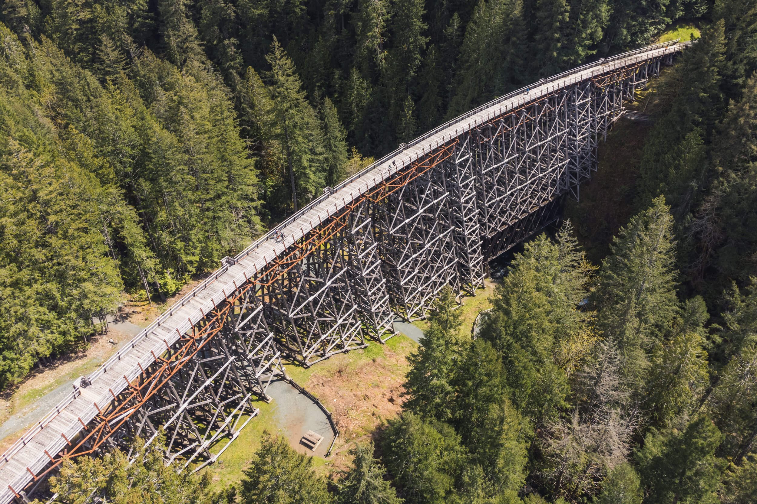 How to Visit KINSOL TRESTLE on VANCOUVER ISLAND — Seeing the Elephant ...