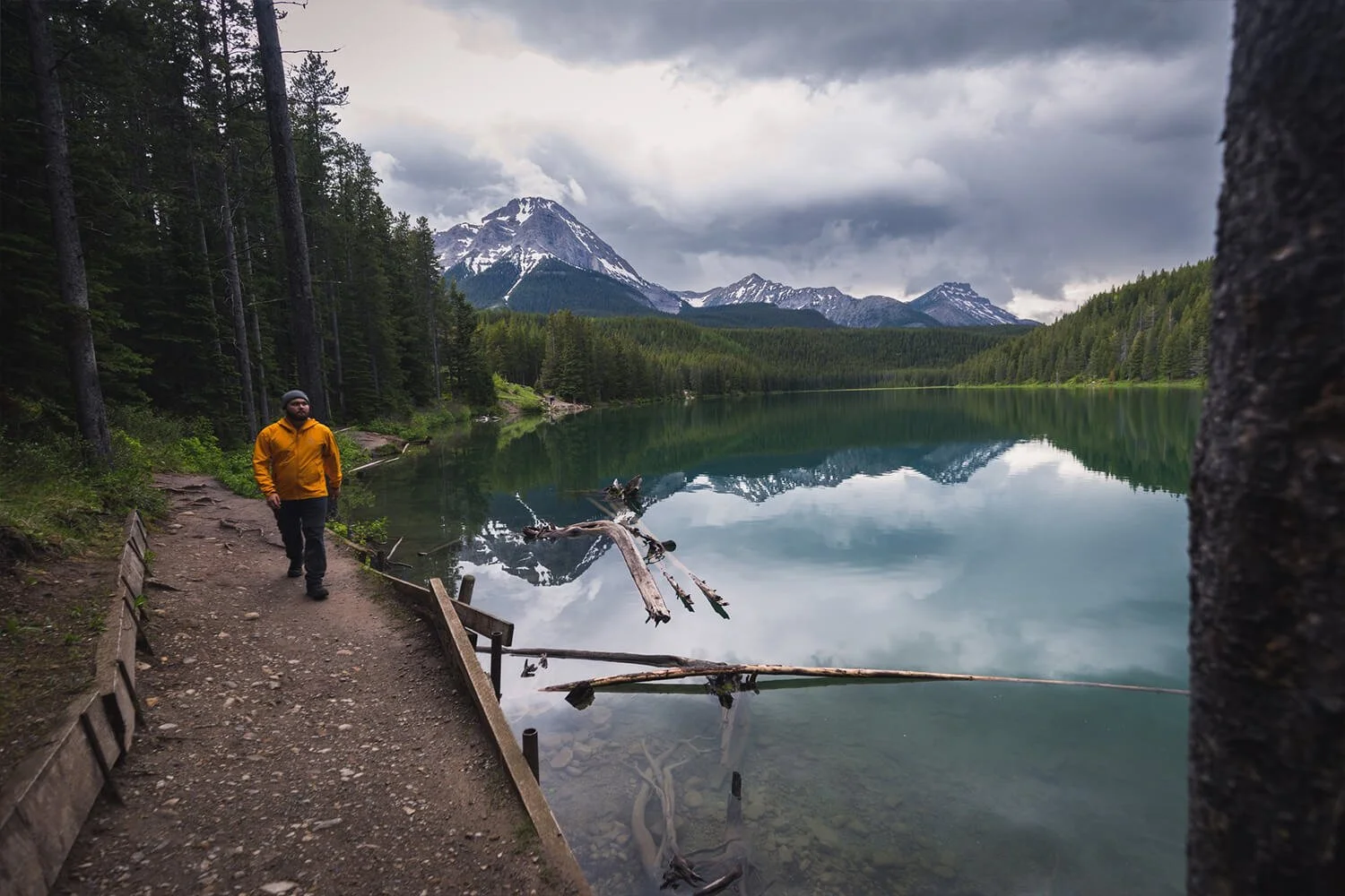 How to Hike to ALLISON CREEK FALLS in the CROWSNEST PASS — Seeing the ...