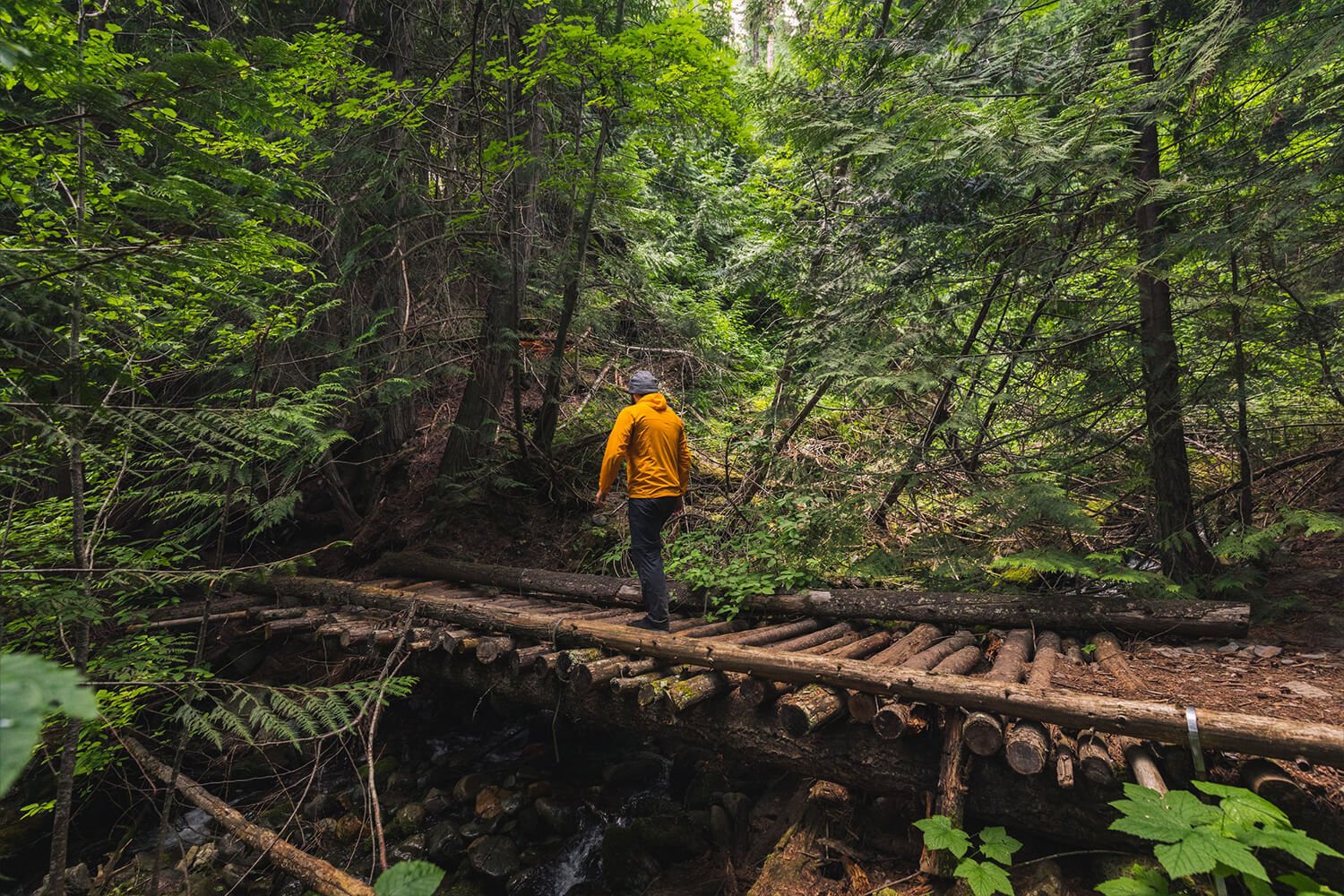 How to Hike to PERRY CREEK FALLS Near CRANBROOK — Seeing the Elephant ...