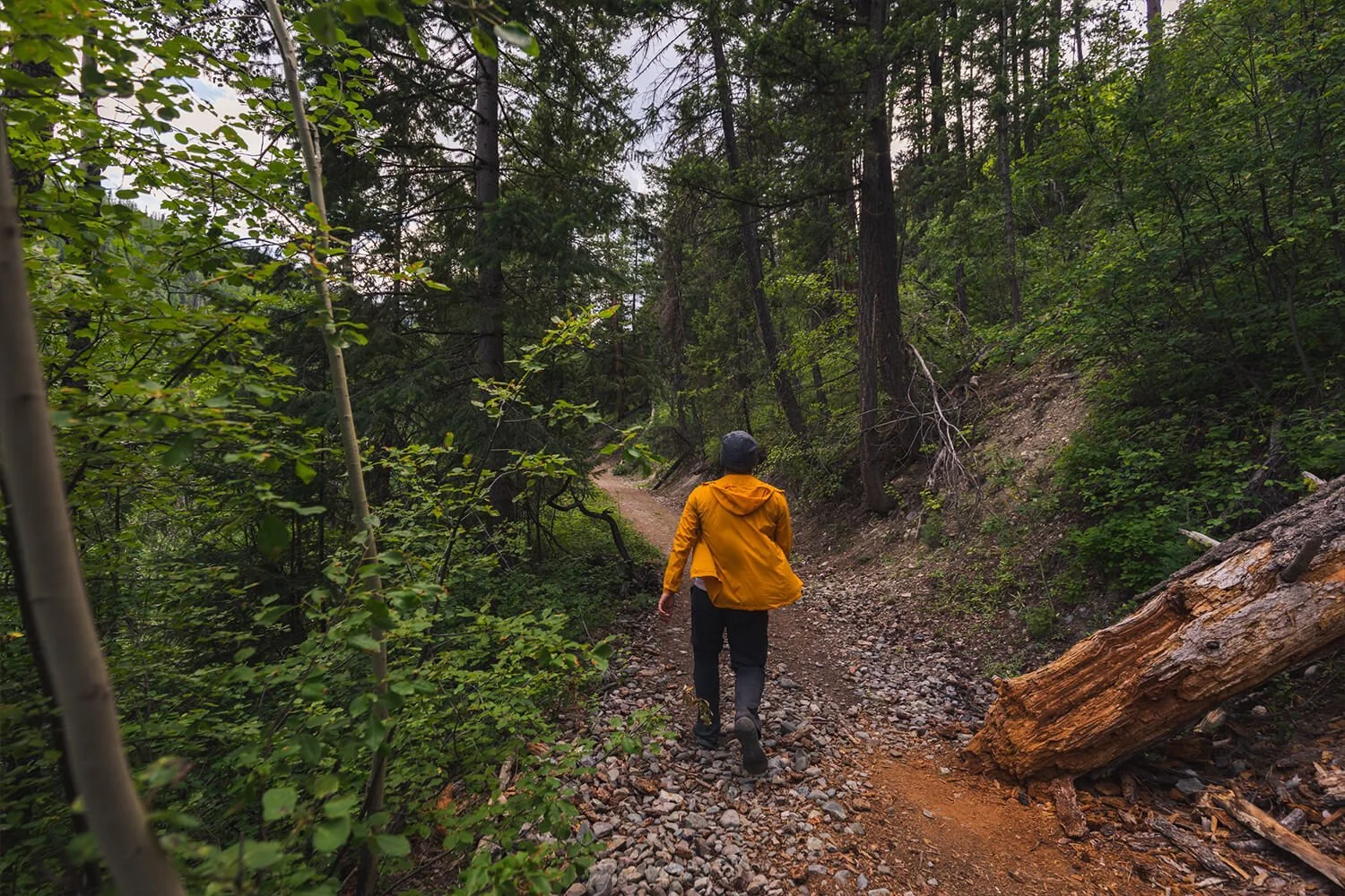 How to Hike to PERRY CREEK FALLS Near CRANBROOK — Seeing the Elephant ...