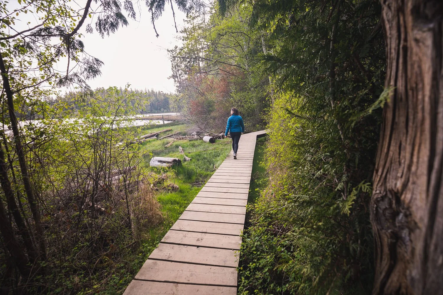 How to Hike to SITTING LADY FALLS Near VICTORIA — Seeing the Elephant ...