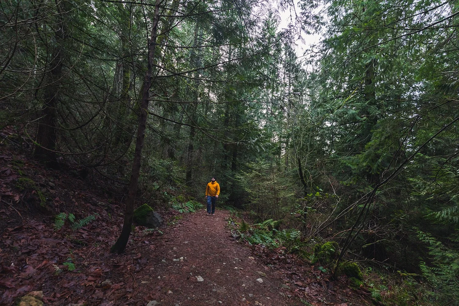 How to Hike LONE TREE HILL Near VICTORIA — Seeing the Elephant | Canada ...