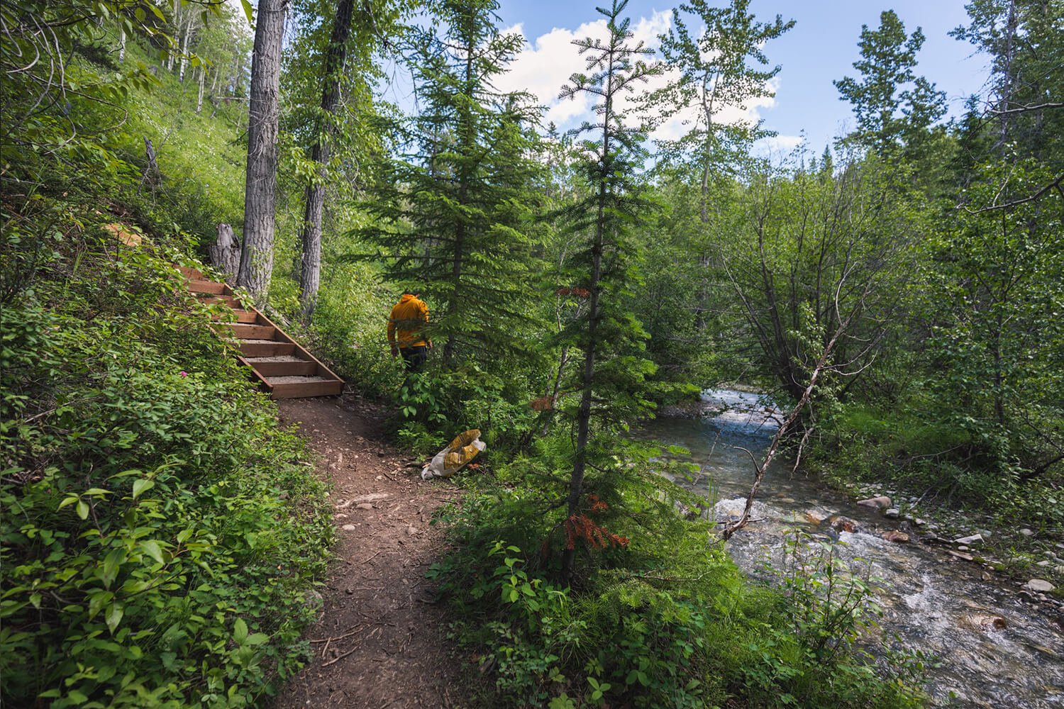 How to Hike to ALLISON CREEK FALLS in the CROWSNEST PASS — Seeing the ...