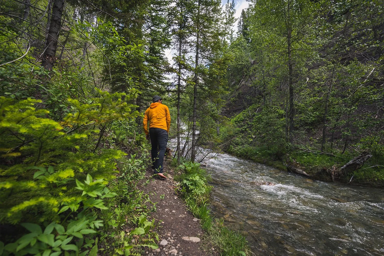 How to Hike to ALLISON CREEK FALLS in the CROWSNEST PASS — Seeing the ...